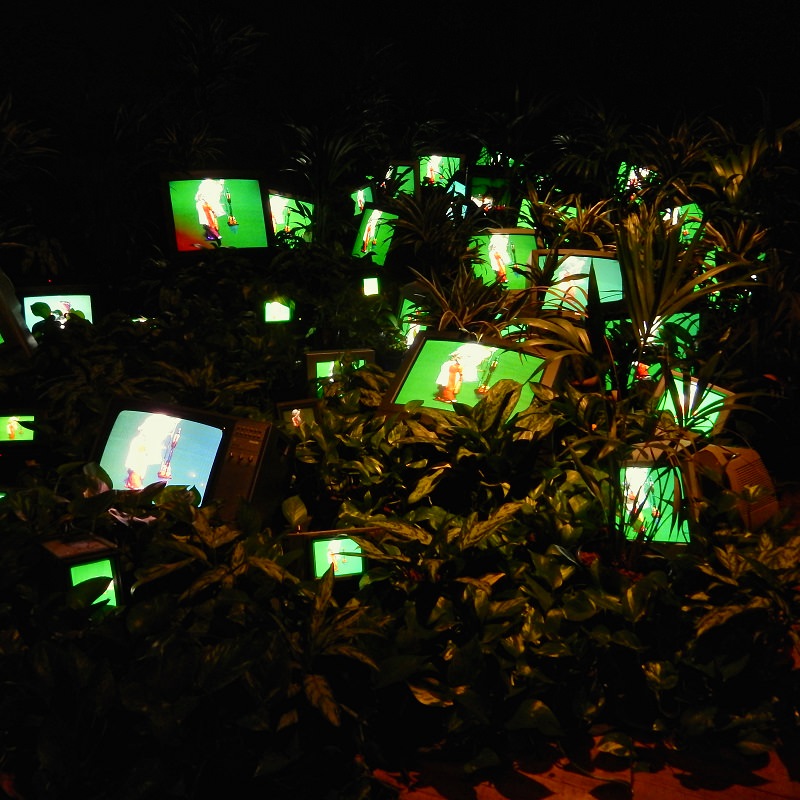 Video Art | Video Artists | Zarastro Art